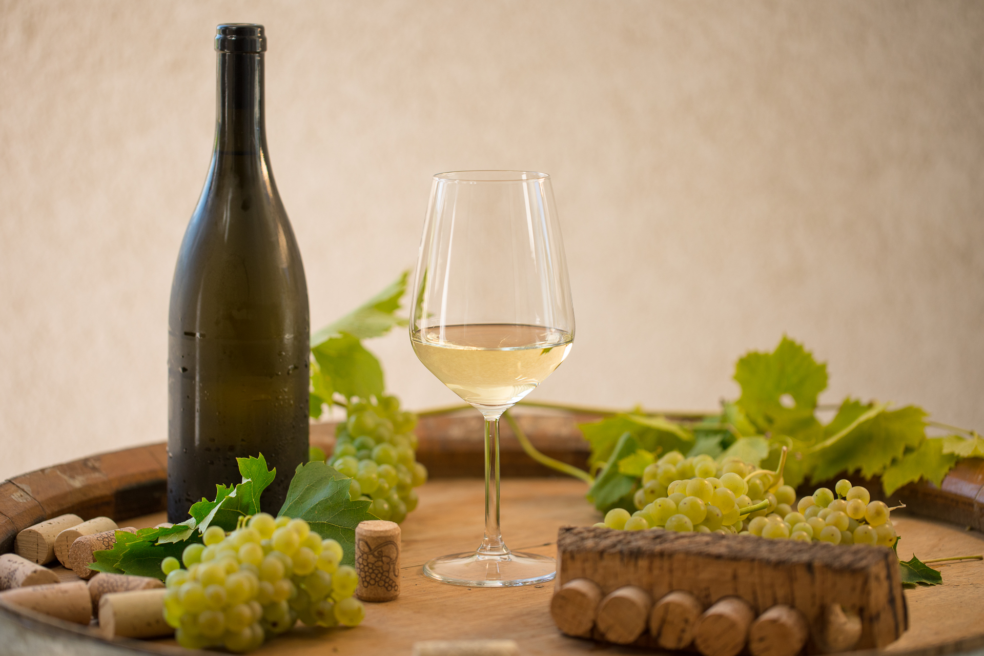 The story of extraordinary successes in the world of wine | Požega ...